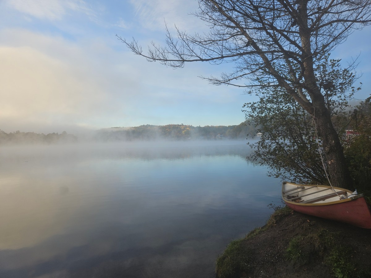 Welcome to our new blog series: Exploring Nature with Paul Hetzler 🌿 ...
